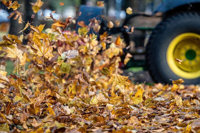Leaf Removal - Moore's Lawn Maintenance
